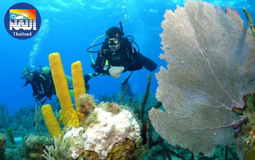 NAUI CONTINUE LEARNING